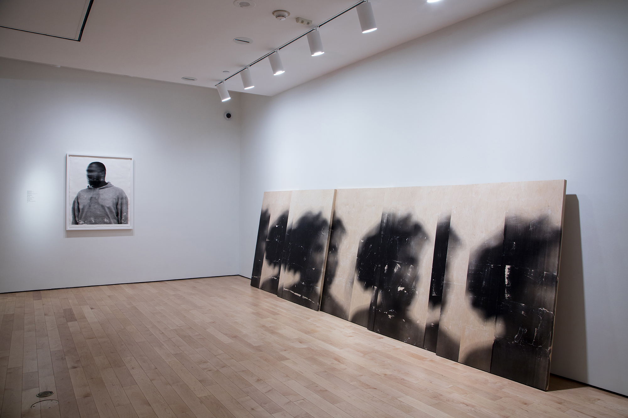 Blur Art Gallery of Ontario | SANDRA BREWSTER